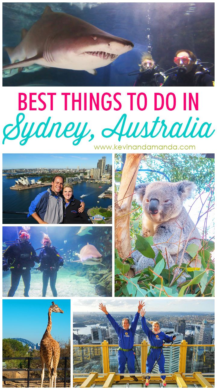 Best Things To Do in Sydney! Thinking about planning a trip down under ...